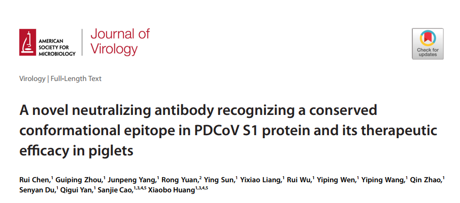 一种识别猪δ冠状病毒（PDCoV）S1蛋白保守构象抗原表位的新型中和抗体及其疗效-猪病研究中心